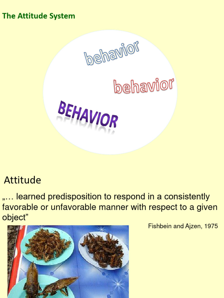 Attitude System | PDF | Attitude (Psychology) | Cognitive Psychology