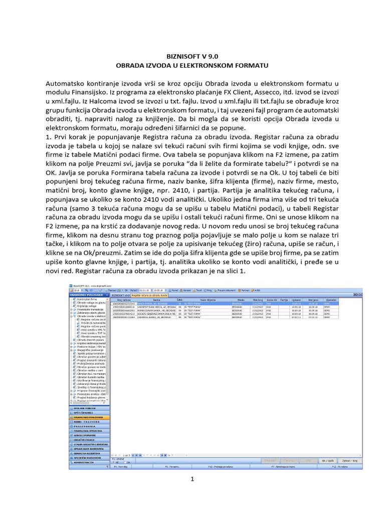 uputstvo-BS-izvodi Elektronski Format | PDF
