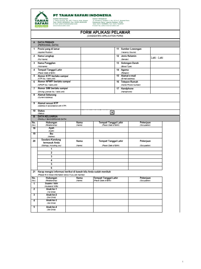 TSI Application Form | PDF