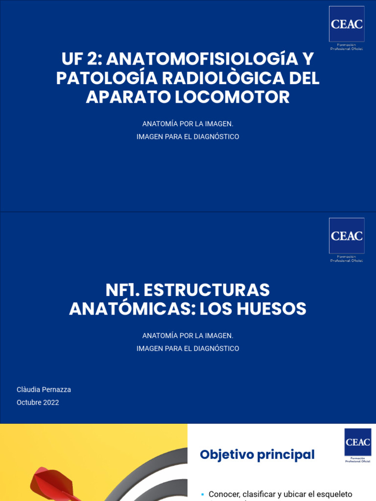Uf 2: Anatomofisiología Y Patología Radiològica Del Aparato Locomotor | Descargar gratis PDF ...