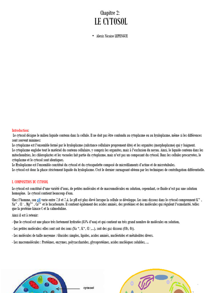 Comprendre le cytosol et ses fonctions | PDF | Cytosol | Cytoplasme