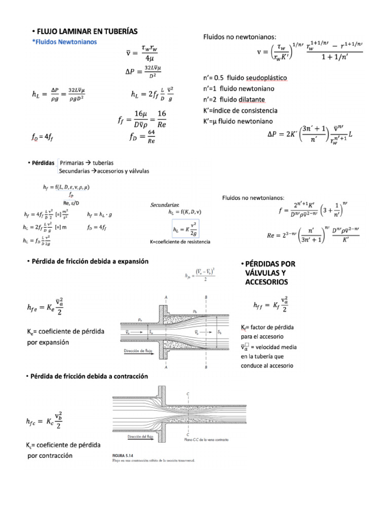 Formulario MECFLU | PDF