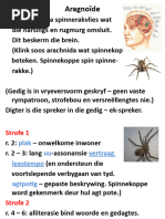 Die Dans Van Die Reën | PDF