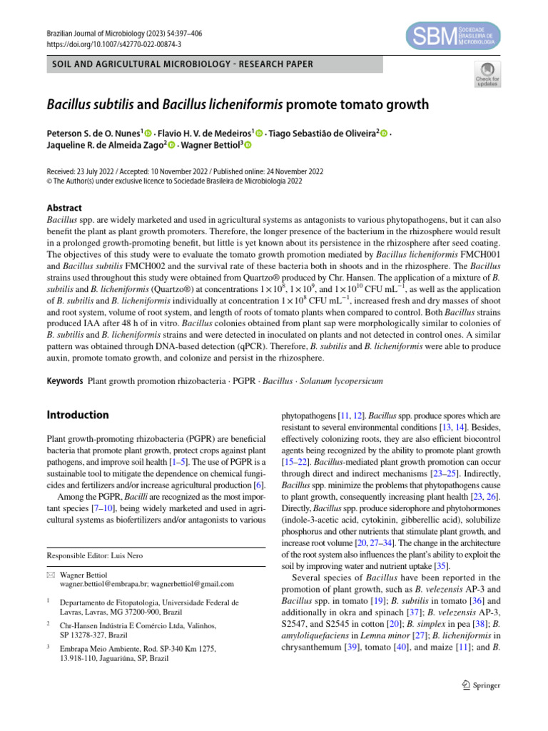 Bacillus Subtilis and Bacillus Licheniformis Promote Tomato Growth ...