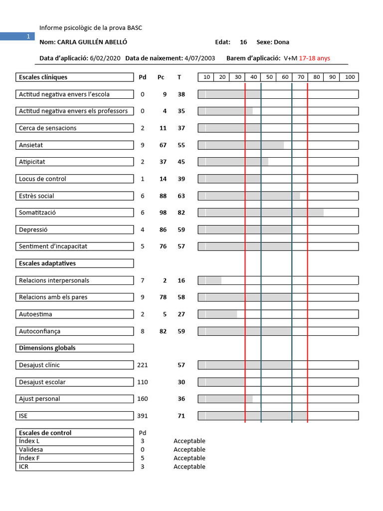 BASC S-3 Model Informe (Carla Guillén) | PDF