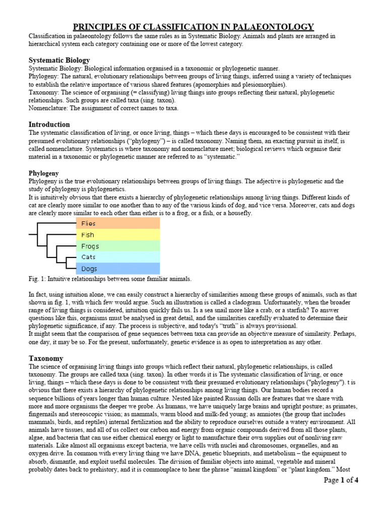 Principles of Classification in Palaeontology | PDF | Taxonomy (Biology ...
