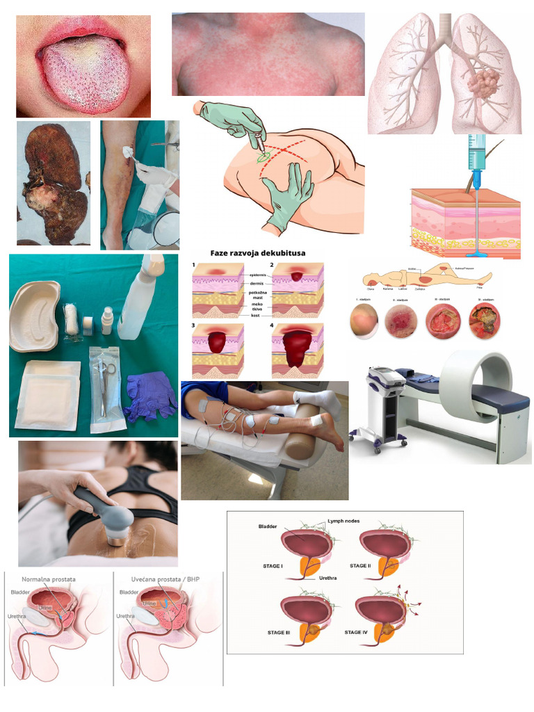 Dnevnik Slike 1 | PDF