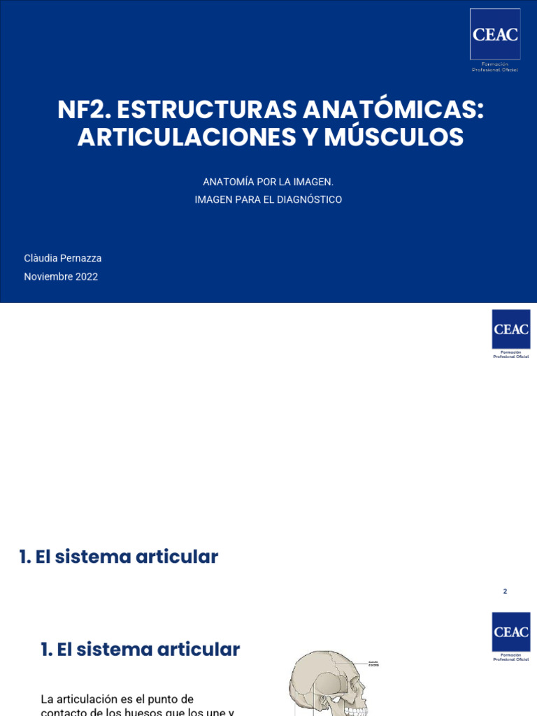 Anatomía UF2 NF2 | Descargar gratis PDF | Articulación | Sistema musculoesquelético