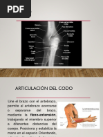 Exploración de Codo | PDF | Codo | Articulación