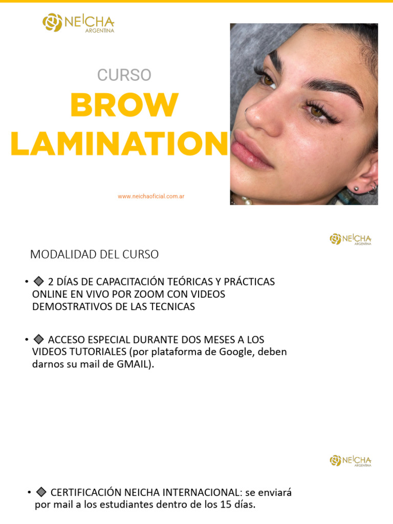 Apunte Teorico Brow Lamination | PDF | Perdida de cabello | Pelo