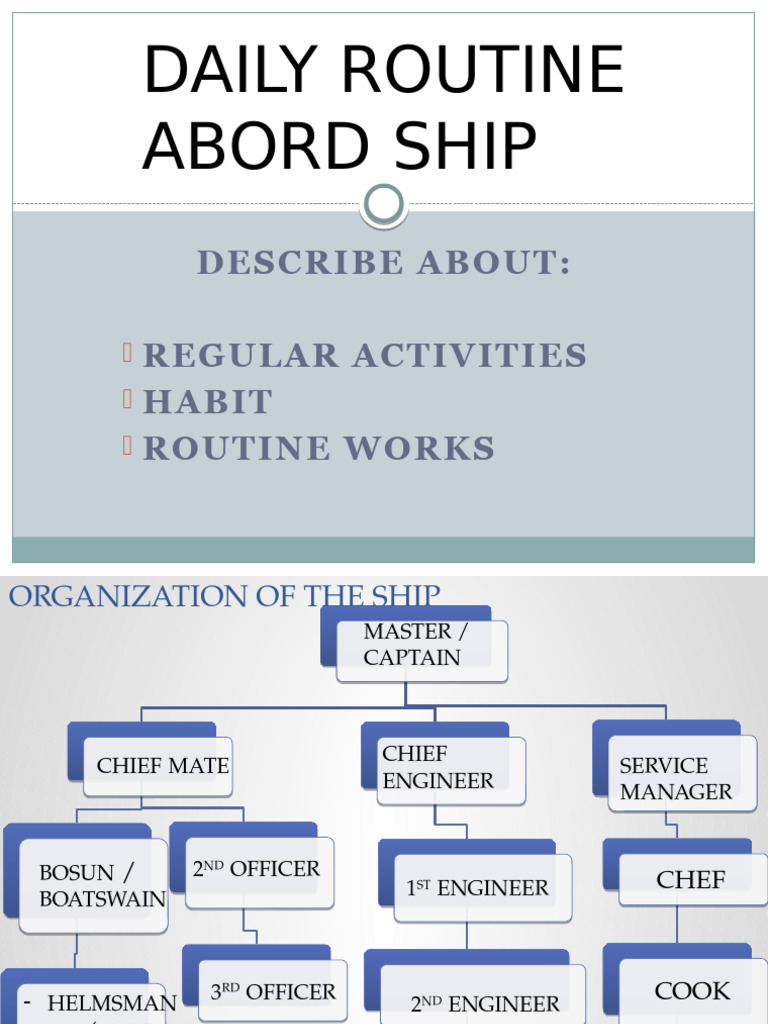 Daily Routine 1 2 | PDF | Sea Captain | Shipping