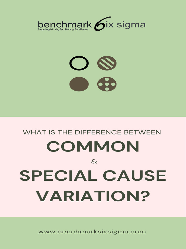 Common Cause Variation | PDF | Temperature | Standard Deviation