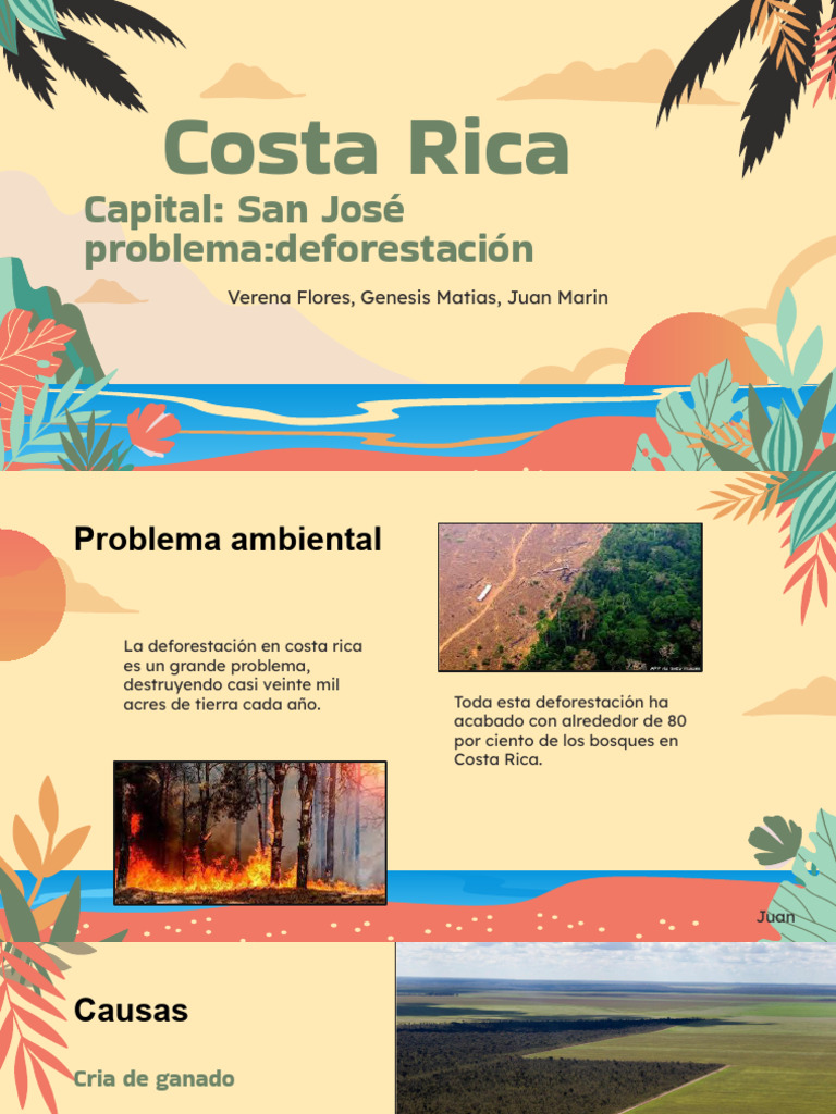 Costa Rica Project 1 | PDF | Deforestación | Los bosques