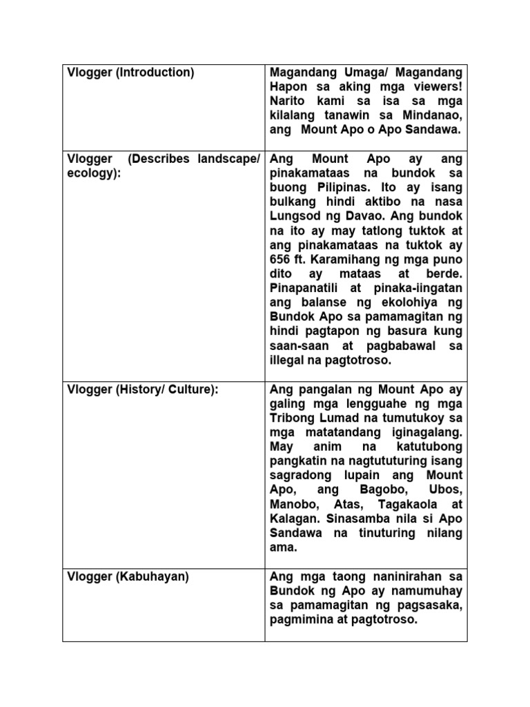 Vlogger Script | PDF