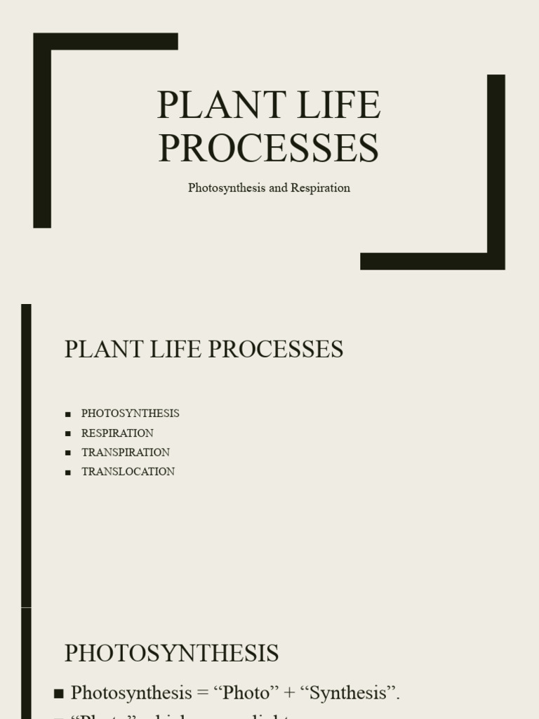 Plant Life Processes [Autosaved] | PDF | Cellular Respiration ...