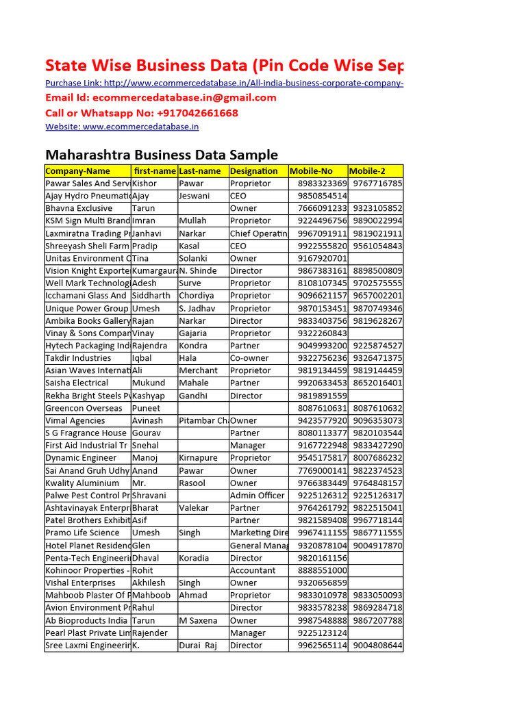 State Wise Business Data (Pin Code Wise Seperate File) | PDF