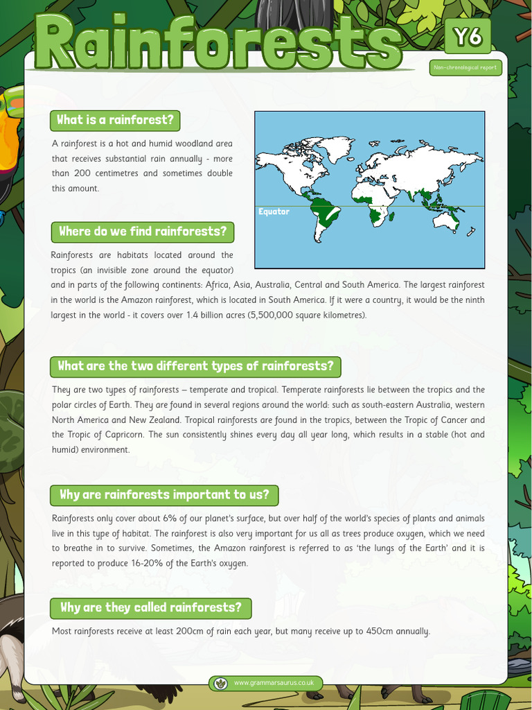 Rainforests | PDF | Rainforest | Canopy (Biology)