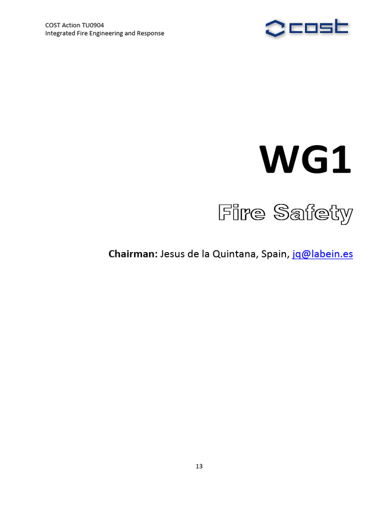 Fire Safety Engineering Guide | PDF | Fires | Combustion