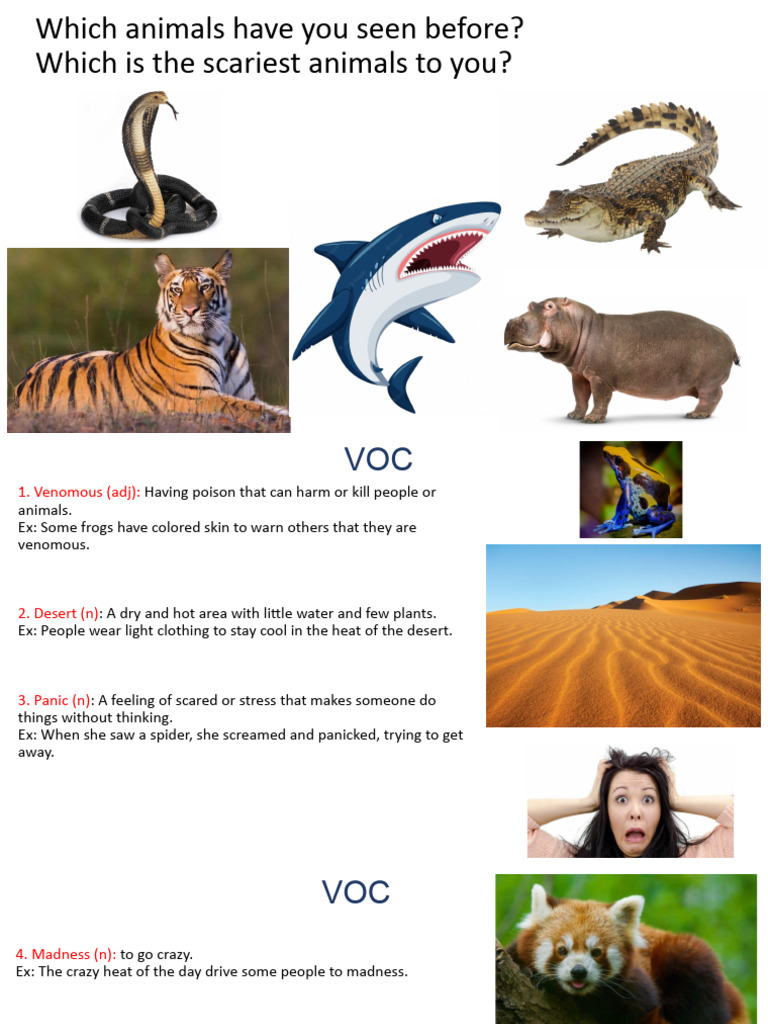 Venomous Snake Bit Itself | Download Free PDF | Snake | Squamata