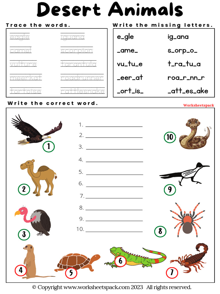 Desert Animals Worksheets Printable | PDF