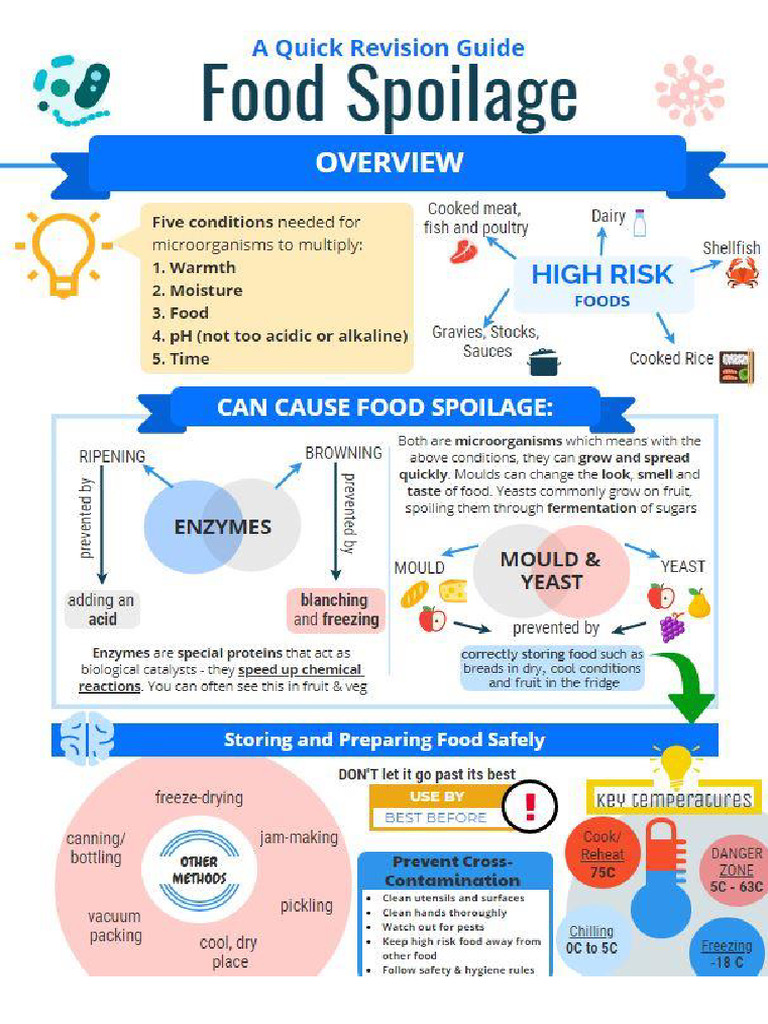 Food Spoilage Guide | PDF