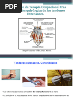 Cubito Varo y Valgo Pulgar Gatillo Dedo Boutonnier | PDF | Codo | Tendón