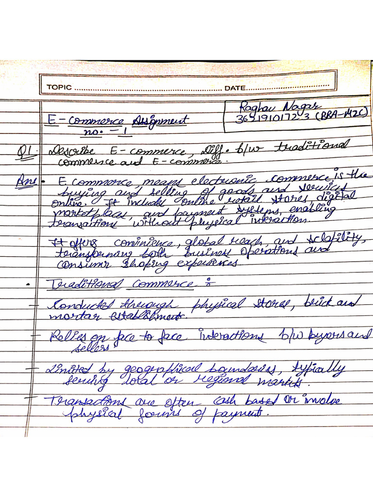 Raghav's e Commerce Assignment 1 | PDF