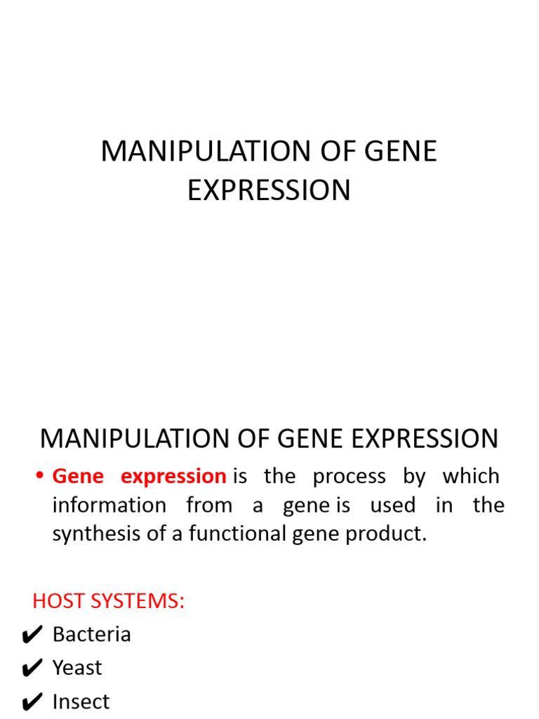 Manipulation of Gene Expression | PDF | Gene Expression | Gene