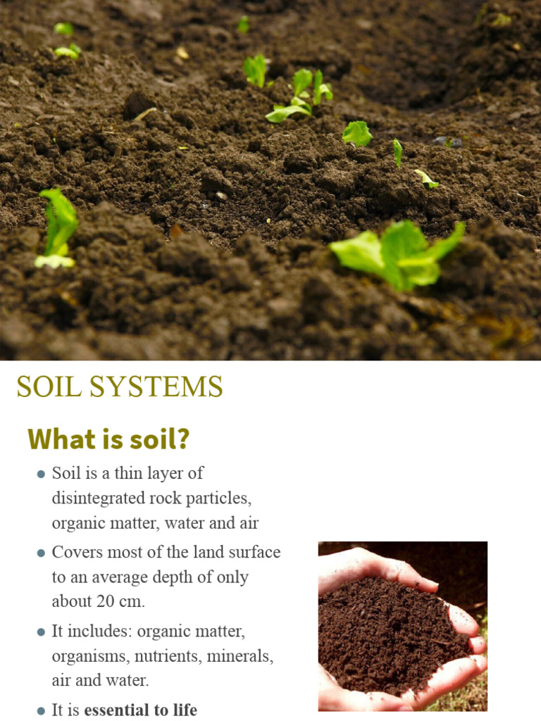 Introduction to Soil | PDF | Soil | Ecosystem