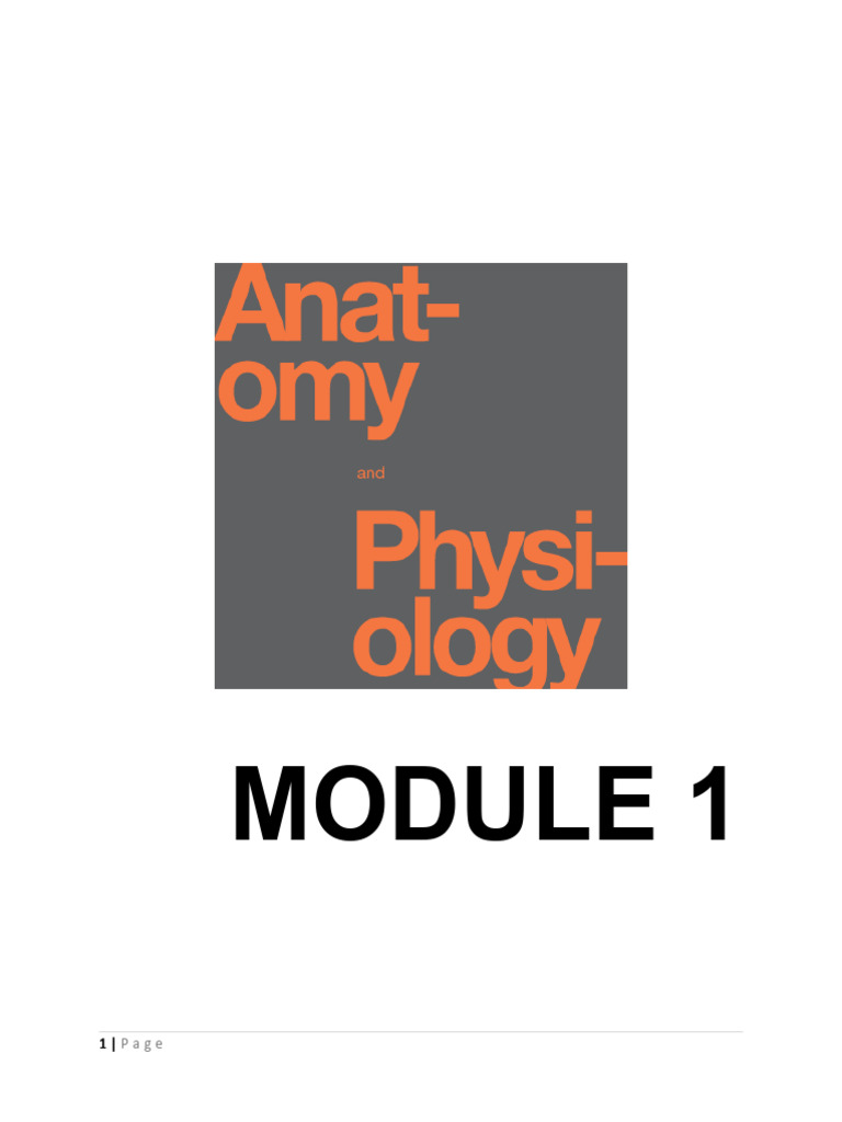 Module 1 | PDF | Anatomical Terms Of Location | Pelvis
