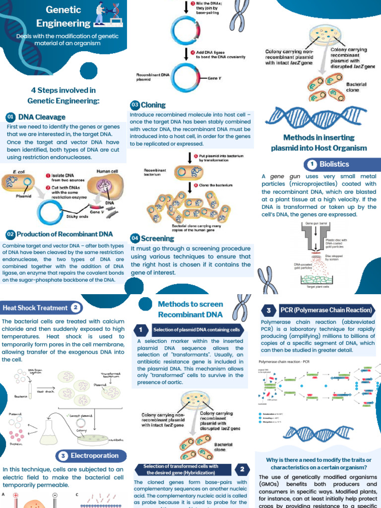 Genbio2 Infographic Final | PDF | Dna | Molecular Cloning