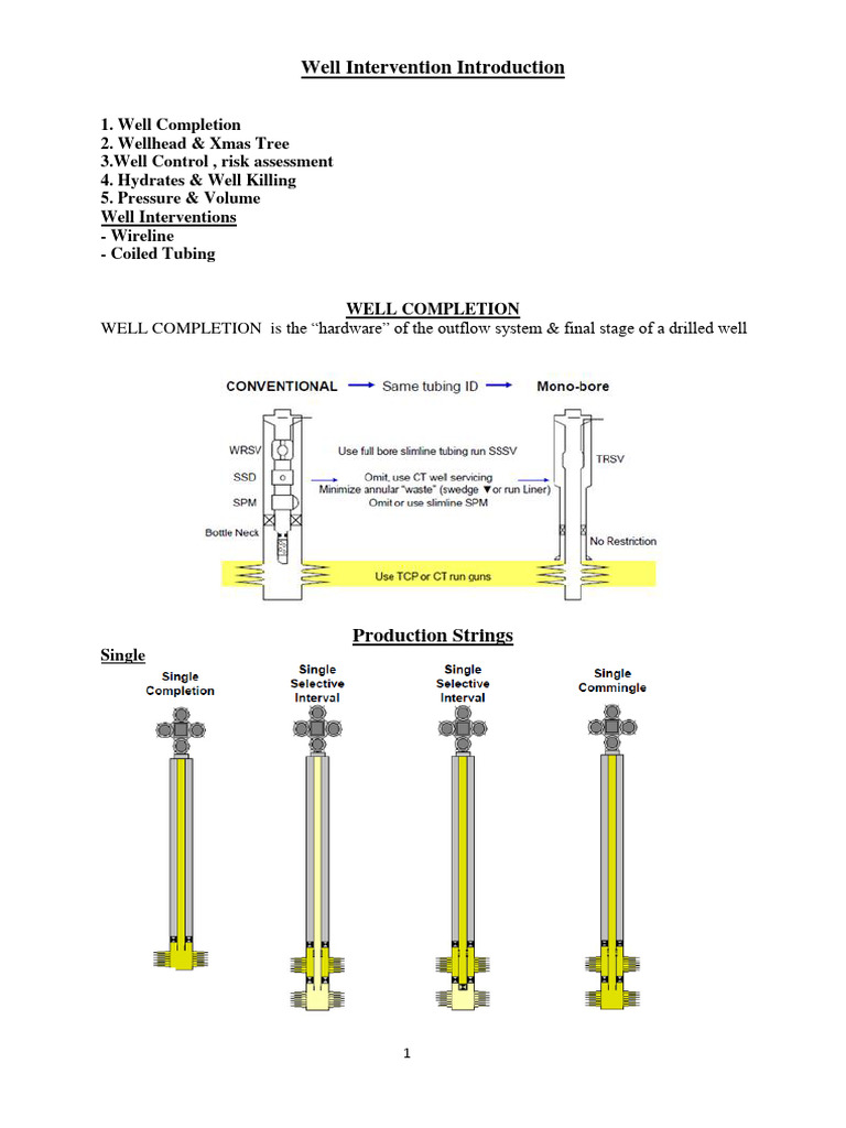 Well Intervention Overview | PDF | Pressure | Chemical Engineering