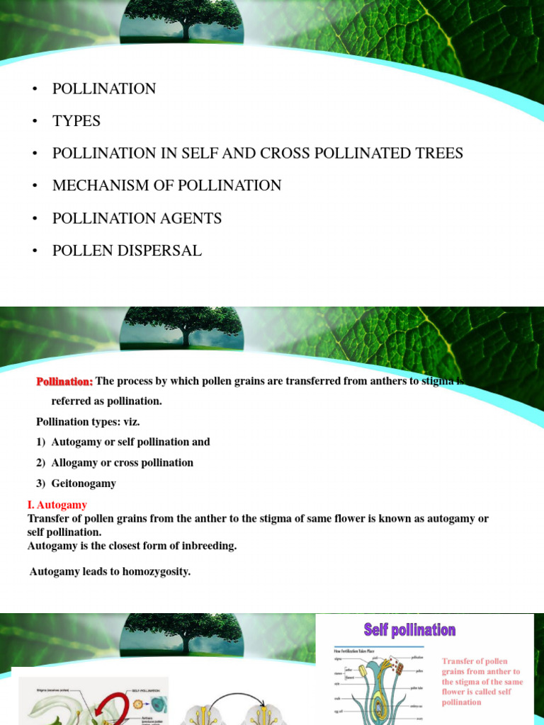 Pollination - Types - Pollination in Self and Cross Pollinated Trees ...