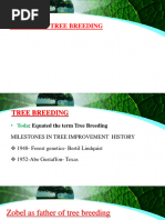 Tree Identification Cards | PDF | Flora | Trees