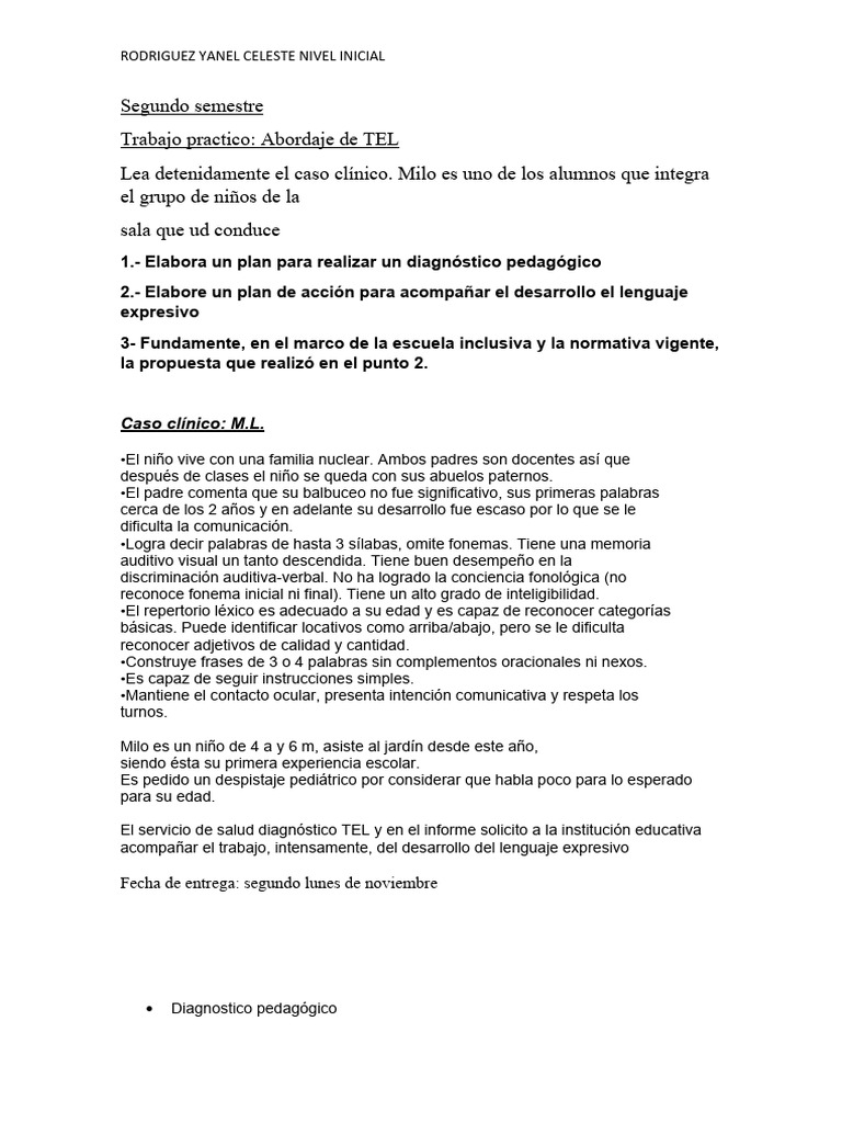 Milo TEL DIAG PLAN | PDF | Educación de la primera infancia | Lingüística