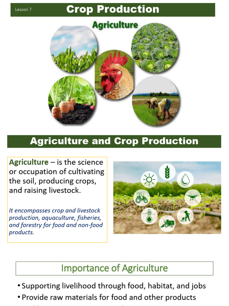 Lesson 7 Crop Production Ornamental and Herbal Plants | PDF | Crops ...