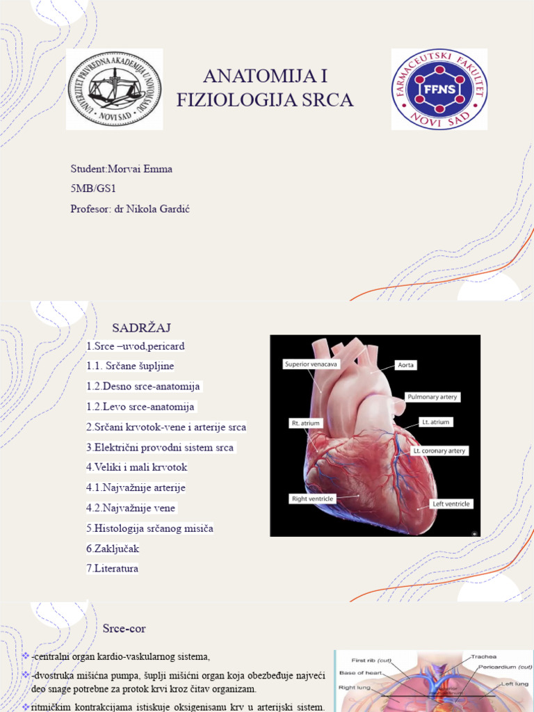 Anatomija I Fiziologija Srca Prezentacija. | PDF