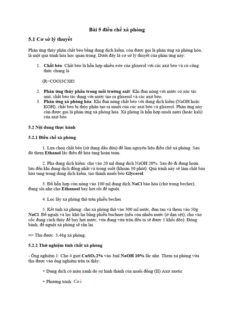 Bài Phúc Trình Hóa 5-6 | PDF