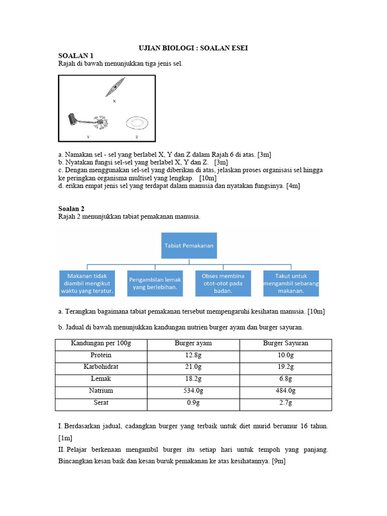 Ujian Biologi T4 | PDF