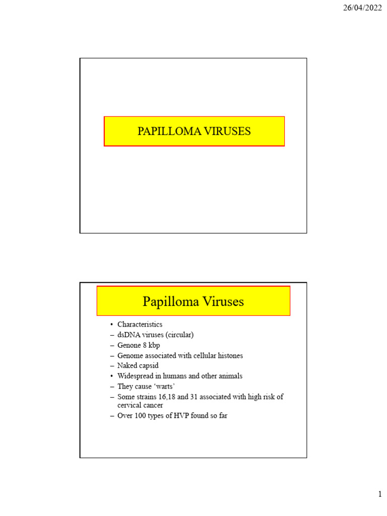 TM 6 Patogenesis HPV | PDF | P53 | Cell Cycle