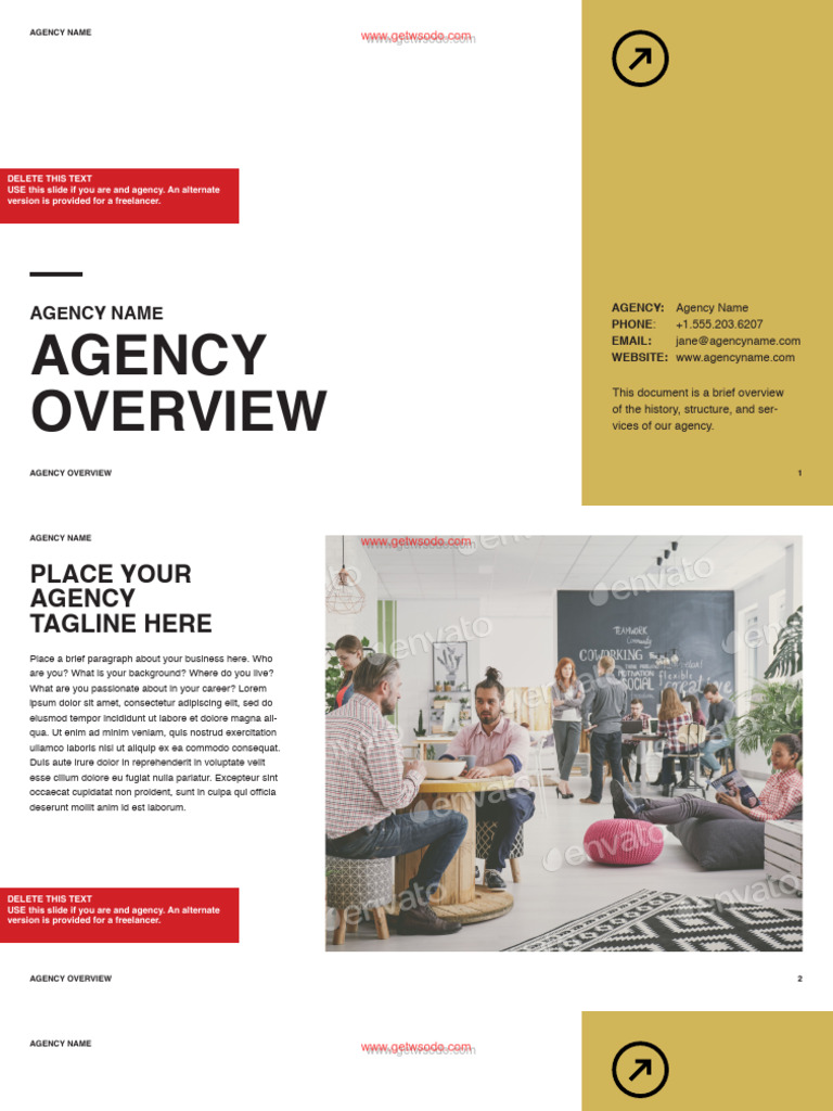 Capabilities Agency Overview Janda V1 | PDF | Communication Design