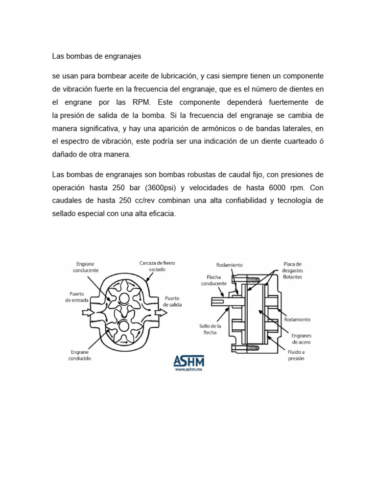 Diagnóstico de Bombas de Engranajes | PDF | Hogar, jardinería y bricolaje | Informática