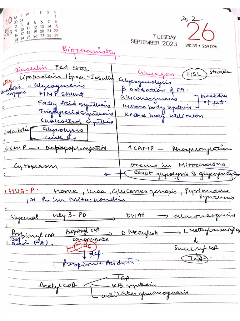 Biochem, FMT | PDF