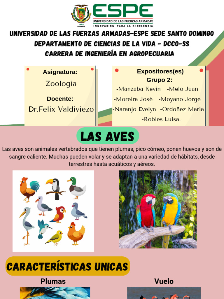 Las Aves - 20240214 - 114731 - 0000 | PDF | Aves | Galliformes