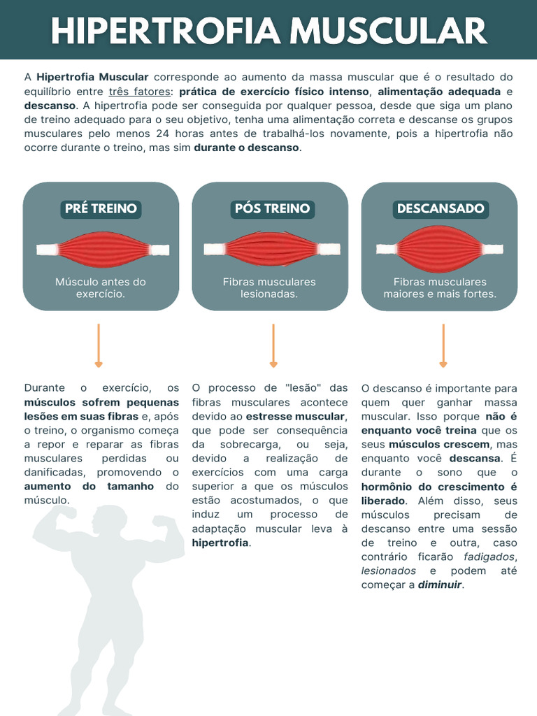 Hipertrofia+Muscular | PDF
