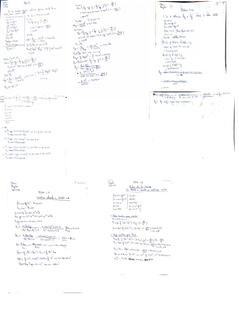 Probleme de FSFM Copii | PDF