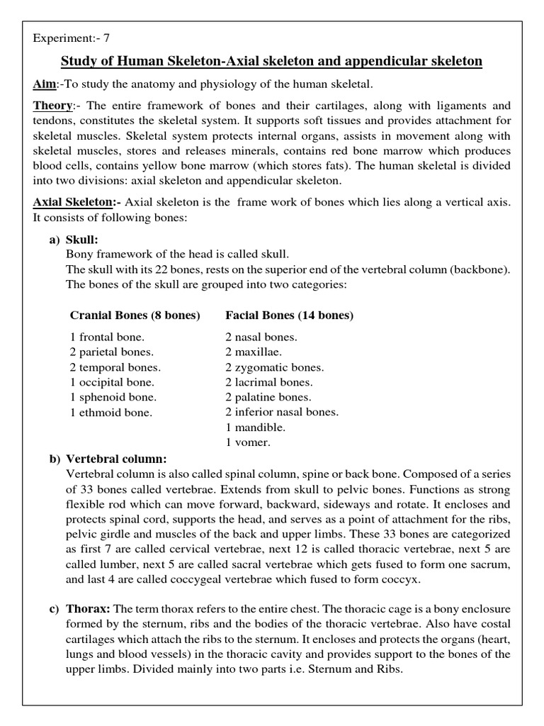 Exp 7 | PDF | Skull | Skeleton