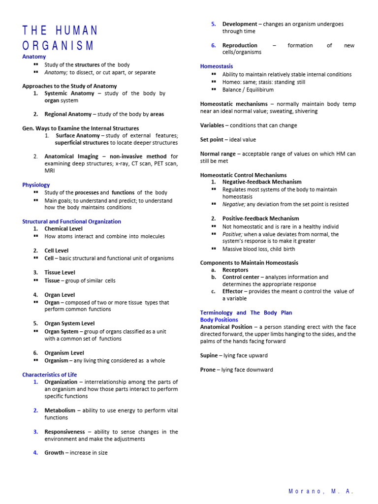 Anatomy and Physiology Overview | PDF | Epithelium | Cell Membrane