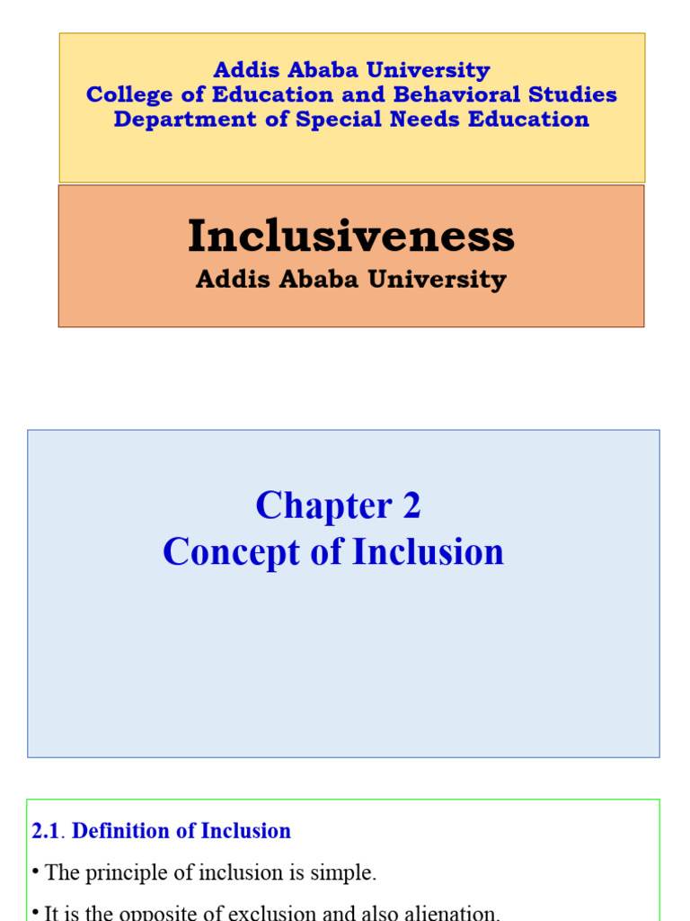 Understanding Inclusion Principles and Barriers | PDF | Social ...