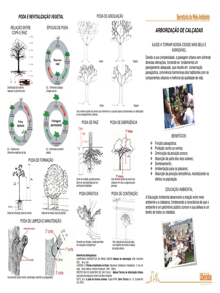 Folheto Arborizacao | PDF | Ambiente natural | Plantas